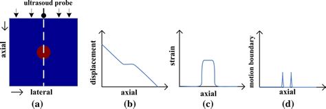 Evolution Of Displacement Strain And Motion Boundary A A Line Download Scientific Diagram