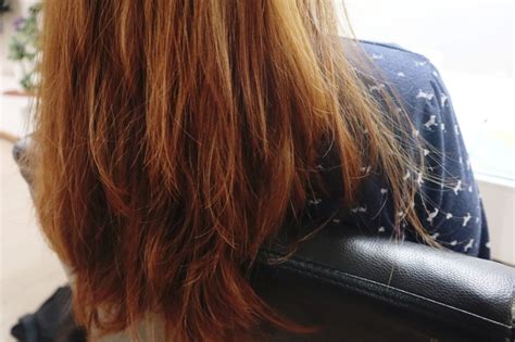 헤어플러스 실크코팅 올리브영에서 만나는 셀프클리닉 네이버 블로그