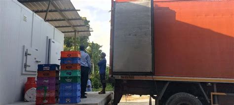 30 Ton To 100 Ton Commercial Cold Storage At Rs 425000 In Chennai Id