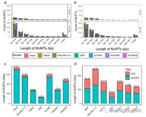 植物线粒体基因组 高粱野生和栽培品系中线粒体基因组结构变异与驯化历史和质体基因组进化的关系 知乎