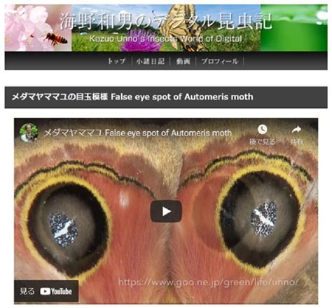 子供の科学 2022年5月号 別冊付録付き 株式会社誠文堂新光社