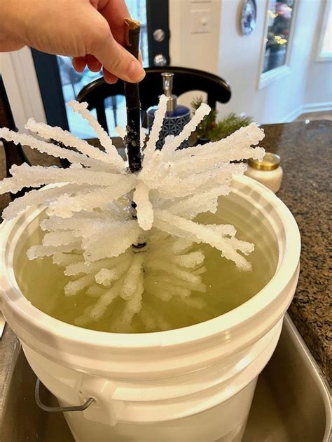 How To Make Christmas Trees With Borax Perfecting Places How To