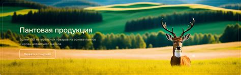 Алтаймаг в Барнауле — интернет-магазин товаров для Вас и Вашего ...