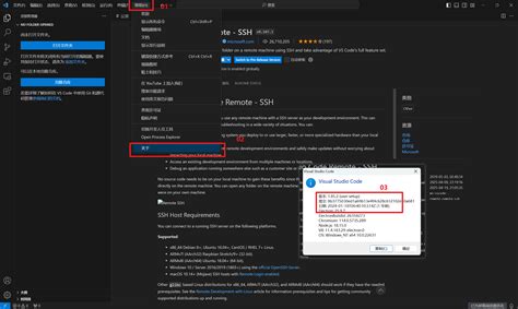 远程主机不满足运行vscode服务器的先决条件【最快最简单解决方案】 网硕互联帮助中心