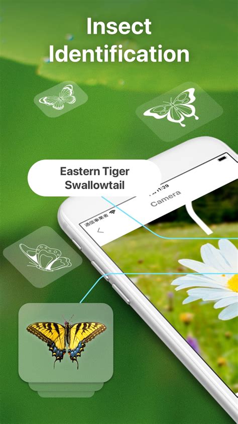 Bug Identifier Insect Id For Iphone Download