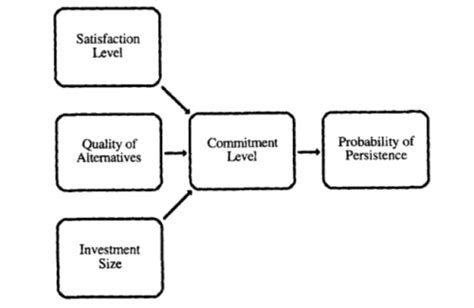 Relationships Flashcards Quizlet