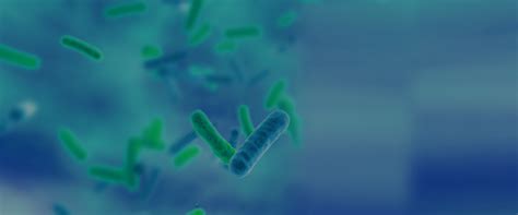 High Throughput Prokaryotic Single Cell Transcriptome Kit Microbiome M20 Genomics