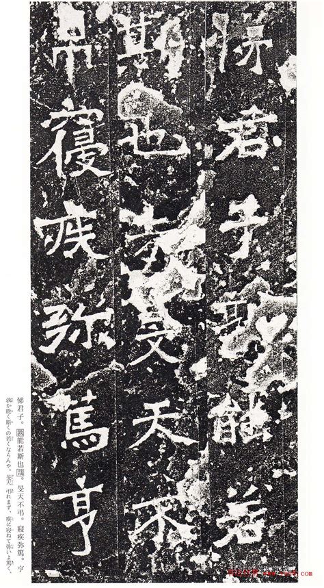 南朝书法拓本爨龙颜碑 第7页 墓志塔铭 书法欣赏