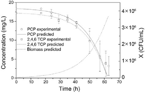 Mmkm Mathematical Prediction Of Pcp And 246 Tcp Simultaneous Download Scientific Diagram