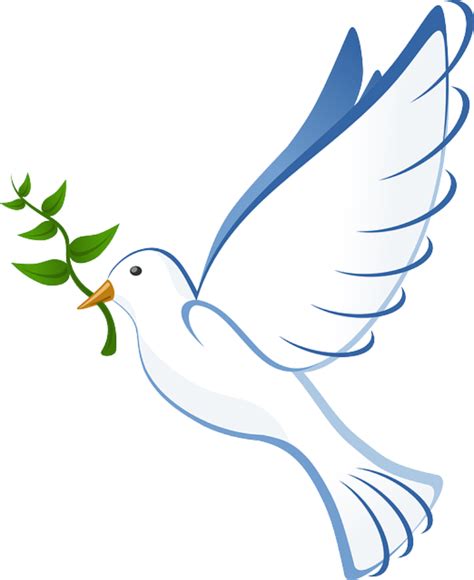 Why Is The Olive Branch A Symbol Of Peace Symbol Sage