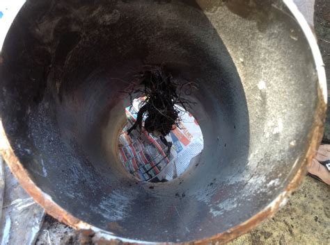 Pipe Excavation Offending Tree Root Found Gough S Tech Zone