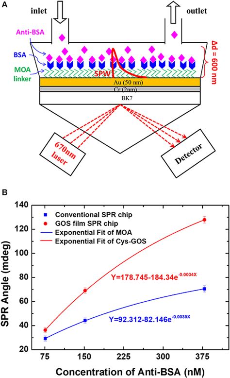 Frontiers Exploring Graphene And Mos2 Chips Based Surface Plasmon Resonance Biosensors For