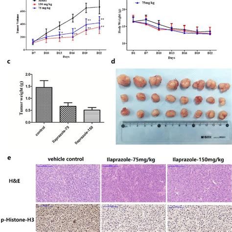 Virtual Ligand Screening And Mst Assay Identifies The Binding Of