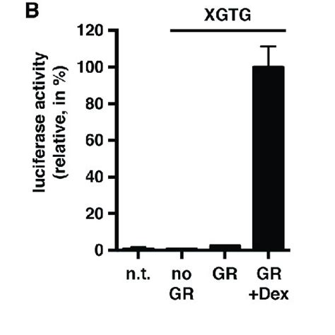 General Scheme Of The Secreted Dual Reporter Assay The Strategy
