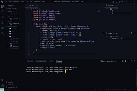 在vs code中设置带有快速输入 输出和代码片段的java竞技编程环境 极客笔记