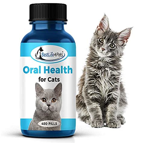Top 5 Best Cat Hyperthyroid Treatment Our Favorite Picks 2026