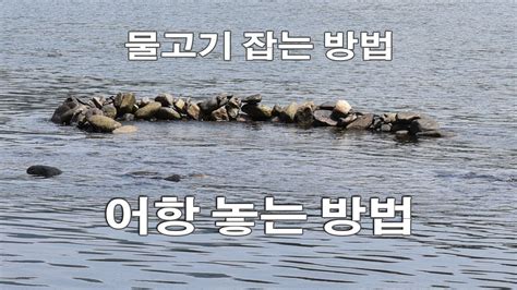 물고기 잡는 쉬운 방법은 어항을 이용하는 건데요 처음 경험자분들을 위한 어항 놓는 법 소개 Youtube