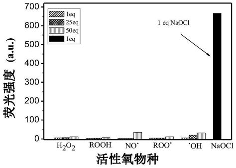 一种检测次氯酸的荧光探针分子及其制备方法与流程