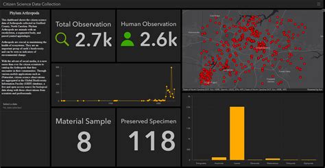 GIS Project Examples