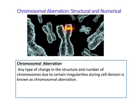 Chromosomal Aberration Structural Aberration And Numerical Aberration Chromosomal Aberration