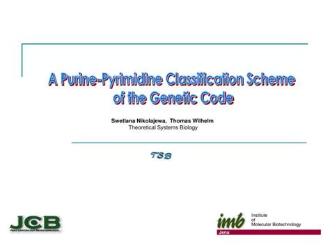 Ppt A Purine Pyrimidine Classification Scheme Of The Genetic Code