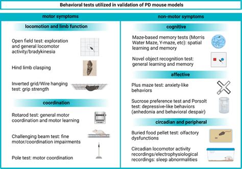 Of Behavioral Tests And Procedures Used To Assess The Most Common Motor Download Scientific