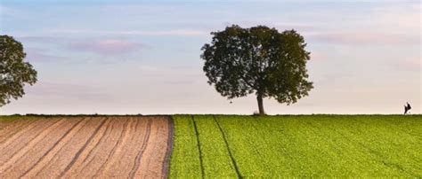 5 Steps To More Sustainable Devops Greenstories