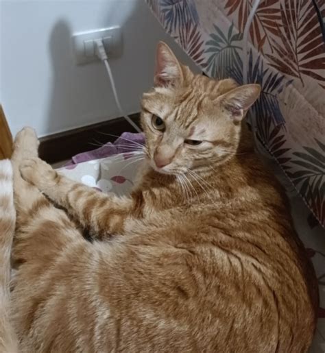 Create A Villain Roleplay Tier List Tiermaker