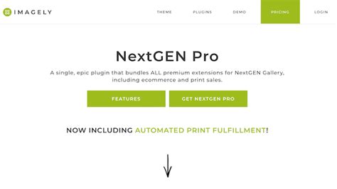 nextgen is it the right wordpress gallery plugin for you