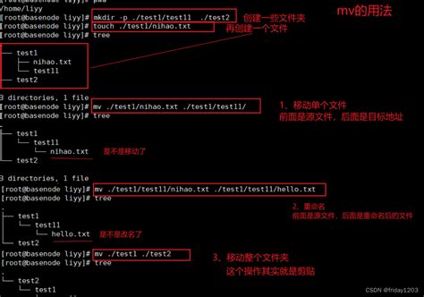 【linux笔记】三、linux文件管理基础linux、件命名格式 Csdn博客