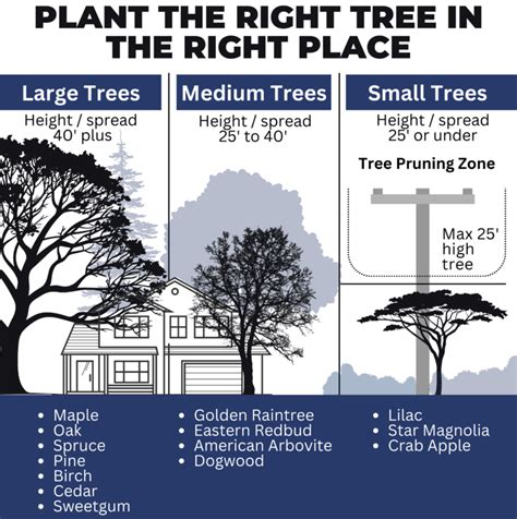 Tree Planting Tips Wood County Electric Cooperative