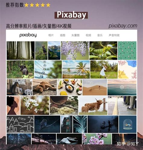 个免费无版权的图片素材网站 可商用 知乎