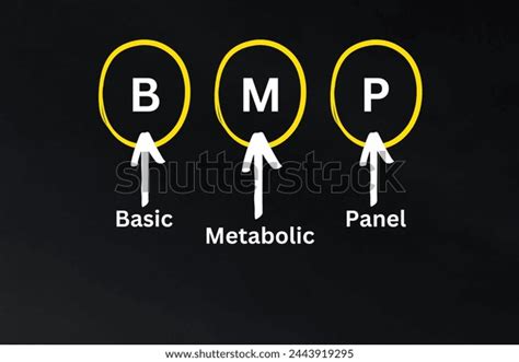 Bmp Basic Metabolic Panel Over 1 Royalty Free Licensable Stock