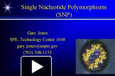 Single Nucleotide Polymorphisms SNP Presentation Free To Download
