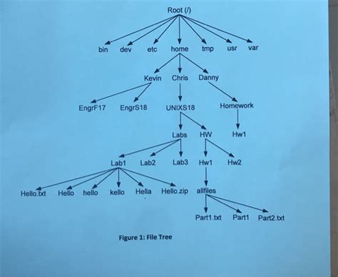 solved questions for my introductory unix class please