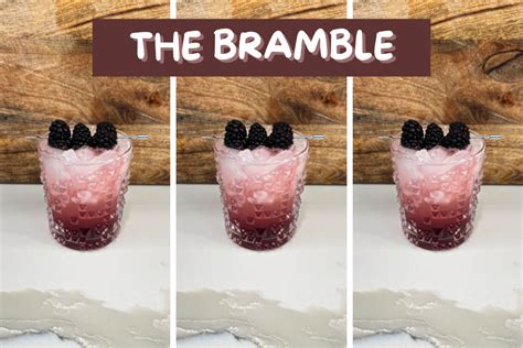 Classic Gin Bramble Recipe Sweet Nectar