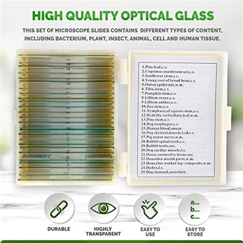 Amscope Ps25p Prepared Microscope Slide Set For Basic Biological