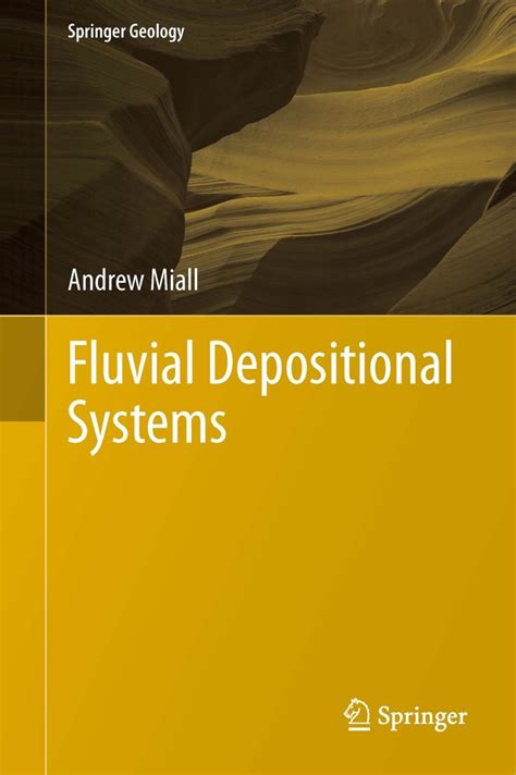 Fluvial Depositional Systems Premiumjs Store