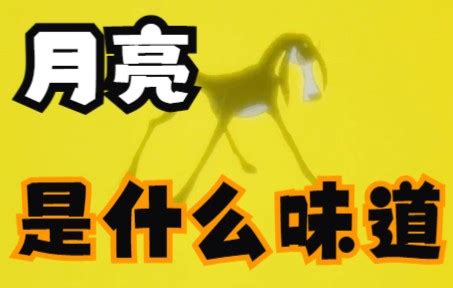 月亮是什么味道 好奇君PLUS 好奇君PLUS 哔哩哔哩视频