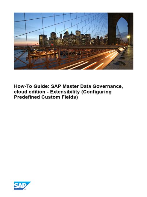 Configuring Predefined Custom Fields In Sap Master Data Governance