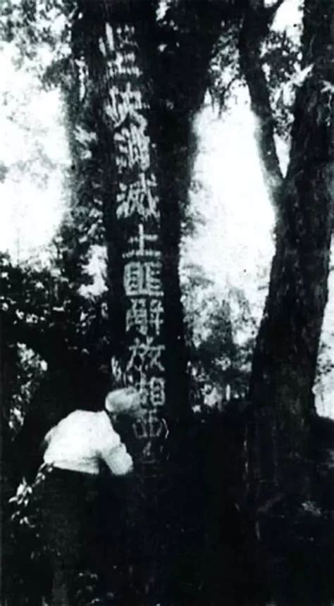 老照片湘西剿匪记 土匪