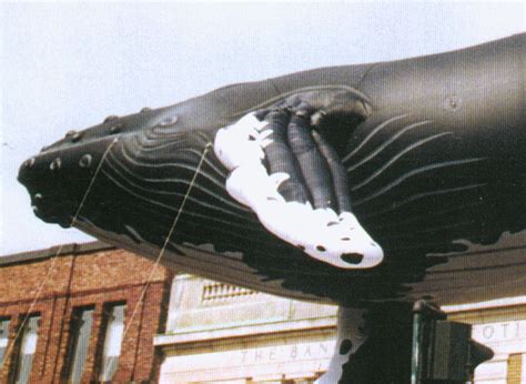 Humpback Whale Parade Balloon Fabulous Inflatables Ocean Parade