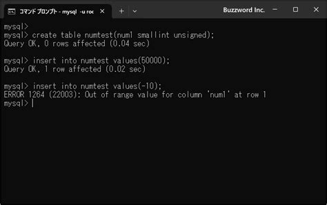 MySQL 整数型 TINYINT SMALLINT MEDIUMINT INT BIGINT