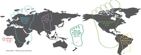 Annual Paper Consumption Per Capita Source Environmental Paper