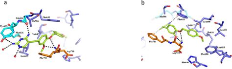 Figure 1 From A Graph Convolution Transformer Neural Network For Drug Target Interaction