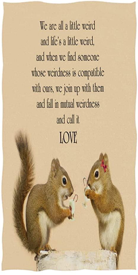 Cute Squirrel Quotes 58 Koleksi Gambar