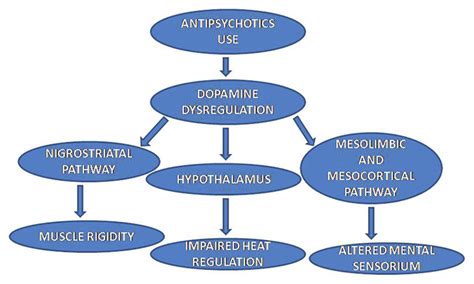 Pathophysiology Of Neuroleptic Malignant Syndrome Nms Download Scientific Diagram