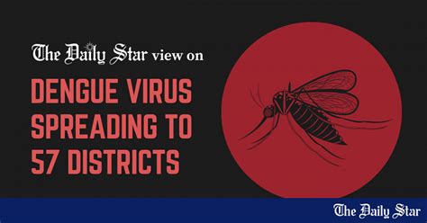 Can We Contain The Dengue Epidemic The Daily Star