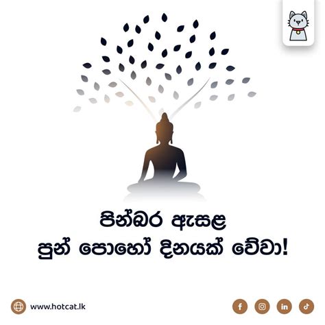 Hotcat Technologies On Linkedin පින්බර ඇසළ පුන් පොහෝ දිනයක් වේවා 🪔
