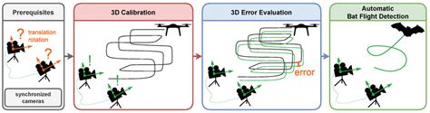 The Automatic Bat Flight Track Detection Needs Two Synchronized Download Scientific Diagram
